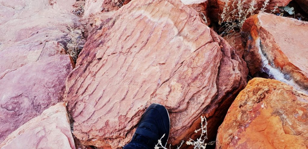 What do the fossilized ripples preserved on sandstone layers on Kellys ...